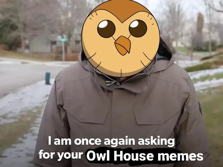 I am once again asking for Owl House memes | Fandom