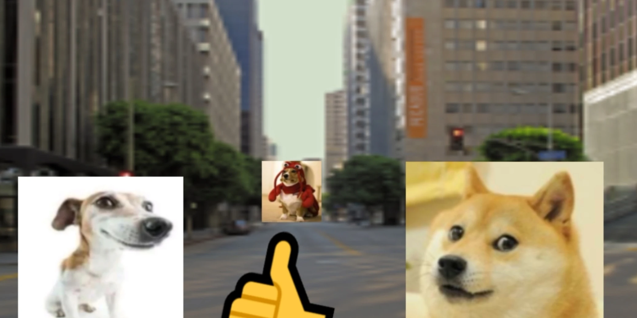 Boppity cat 33 teasers! | Fandom