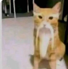 long before time had a name | Fandom