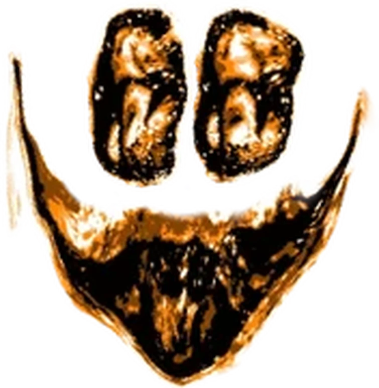 some remakes and concepts for t section! | Fandom