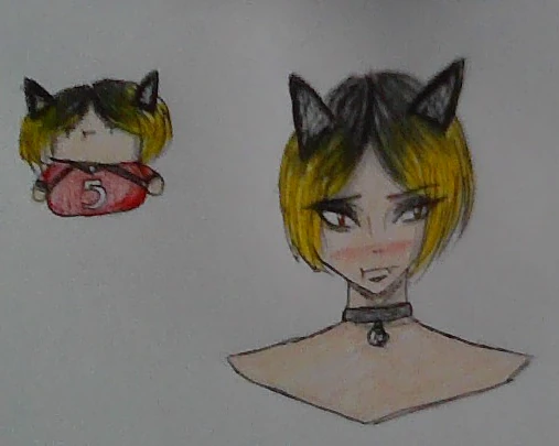 i drew kenma as a cat boy | Fandom