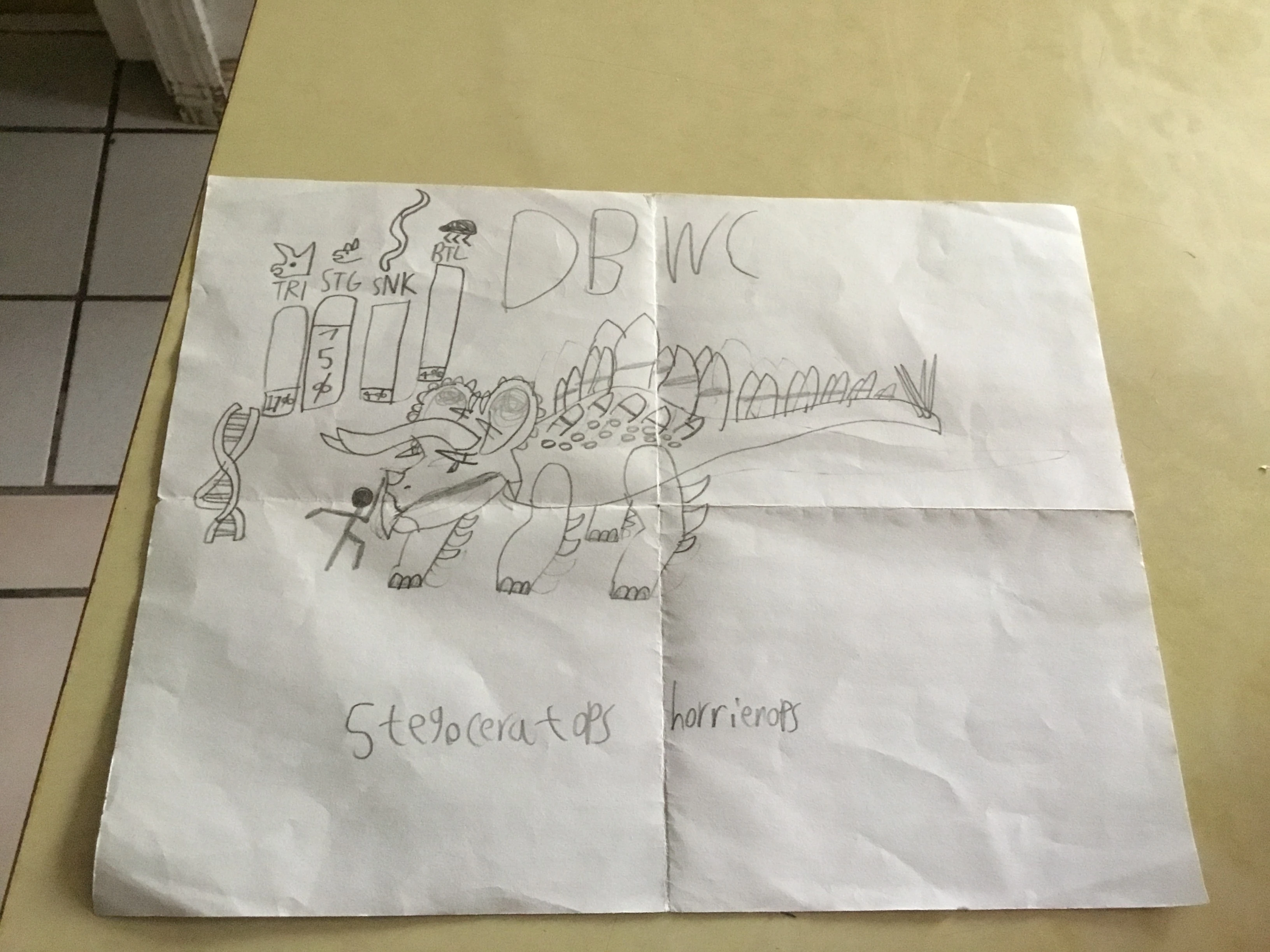 If Stegoceratops was in DBWC | Fandom