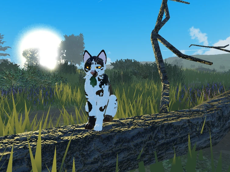 random wcue oc dump and info abt em bc why not lol | Fandom