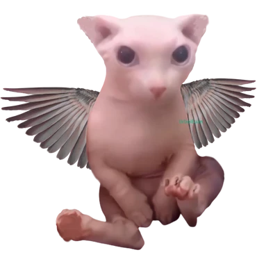 litterally what should i change my pfpf to !!!!1111 | Fandom