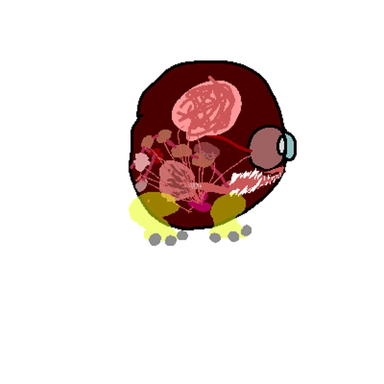 The Novopangea Canon | Fandom