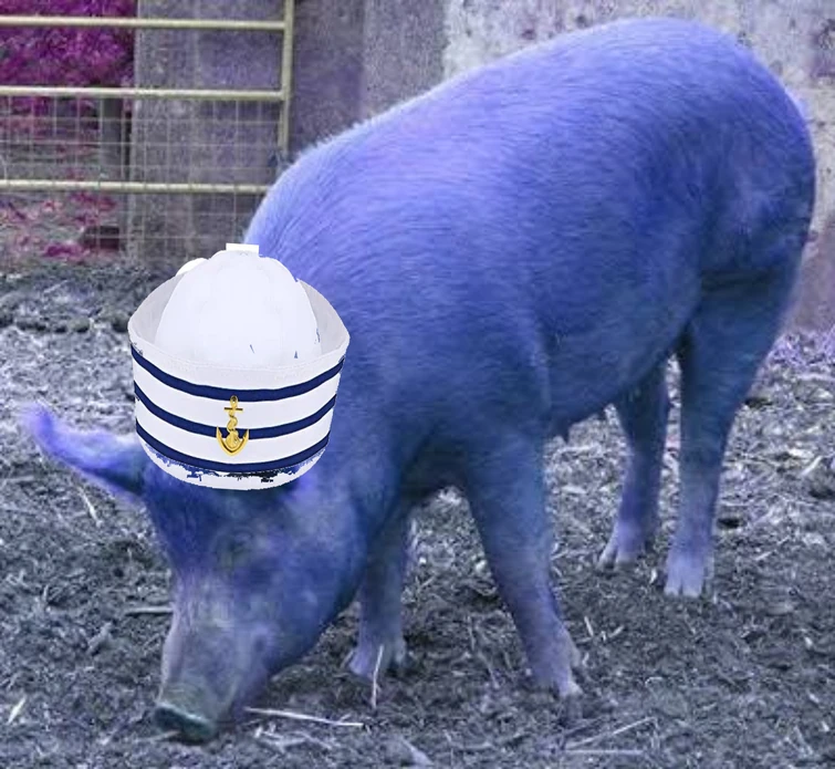 HTF in real life | Fandom