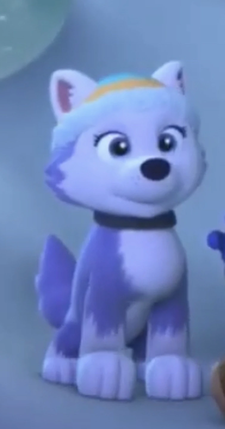 Discuss Everything About PAW Patrol Wiki | Fandom