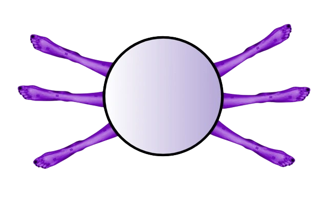 Mabric funcher | Fandom