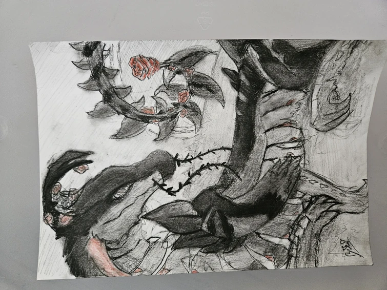 Charcoal + Carbon roz drawing | Fandom