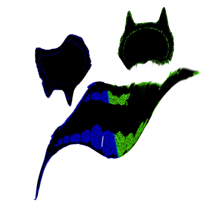 4th T section concept entity: T-150 | Fandom