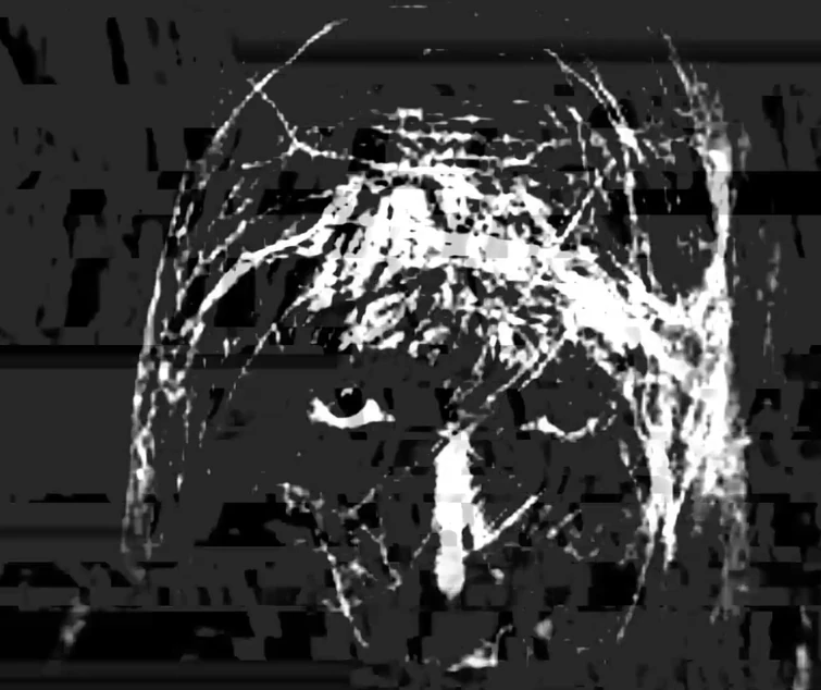 6666666666666666666 | Fandom