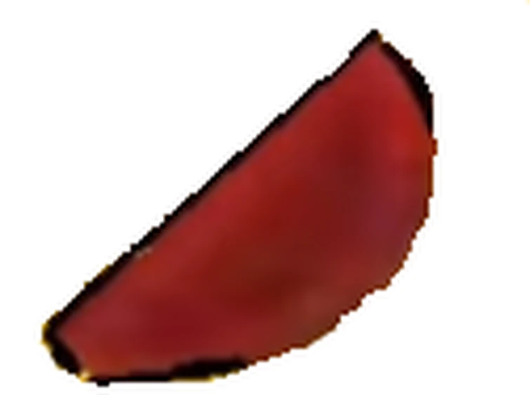 Find the Watermelon! | Fandom