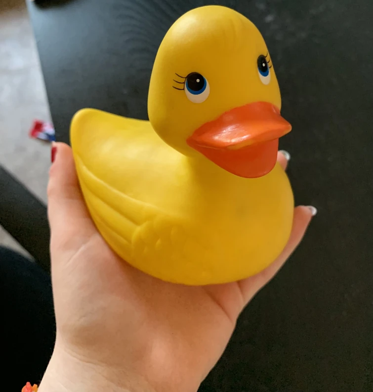 I just gave all of my fellow players, as well as my DM ducks | Fandom