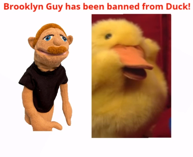 Brooklyn Guy Has Been Banned Memes Made By Floppaaaaa | Fandom