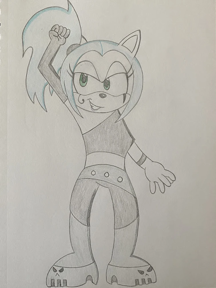 Ember the Hedgehog (Sonic Stylized Character) | Fandom