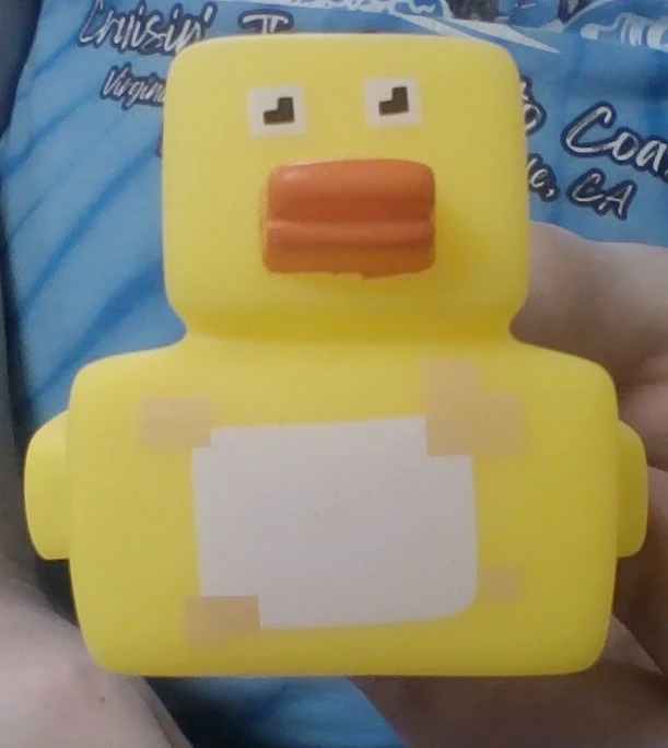 *high-pitched* I GOT A BLOCKY DUCKY IYUFTDYRJXCFGUTIYDTYTFUGUIYKHF | Fandom