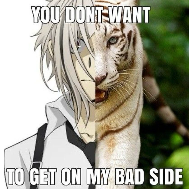 Zawg is NOT the alpha | Fandom