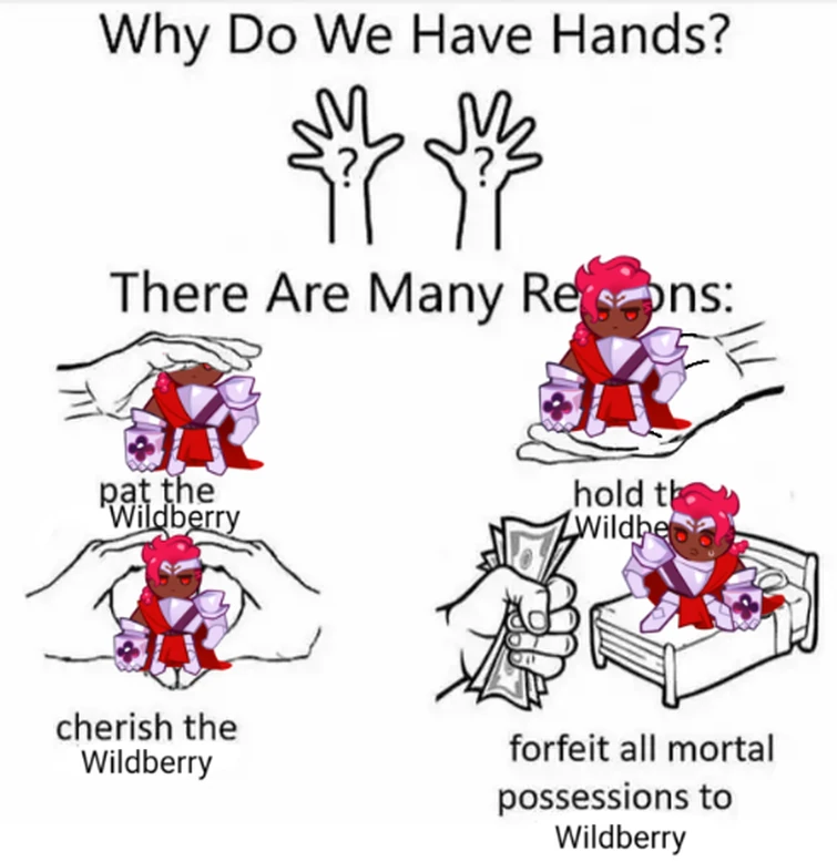 Wildberry Cookie | Fandom