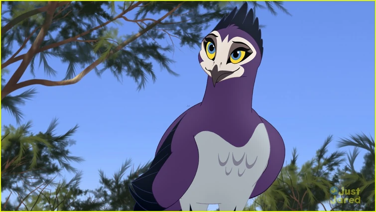 the lion guard anga | Fandom