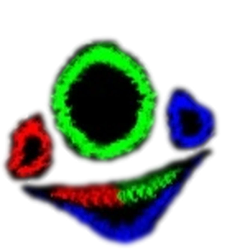 Discuss Everything About The Liminal Rooms Wiki | Fandom