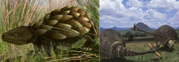 If The Future Is Wild animals were Walking With... animals (Part II ...