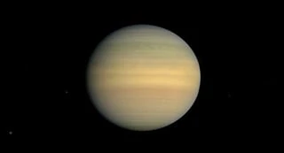 bald saturn | Fandom