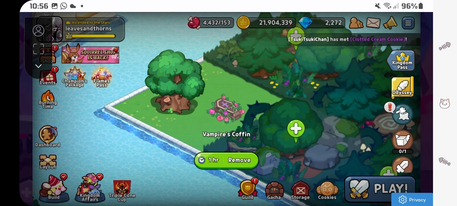 Wow Vampire's bed | Fandom