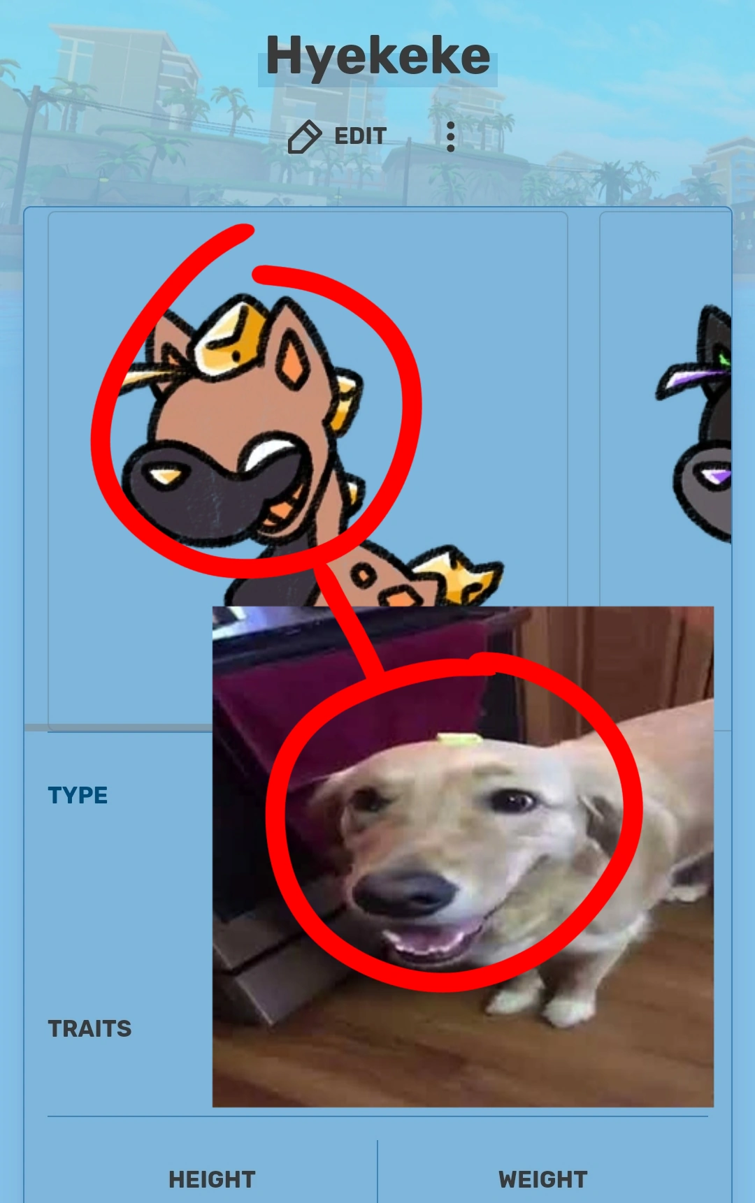 butta dawg. dawg wit da butta | Fandom