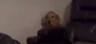 Omg awakened Hattrix looks so good | Fandom