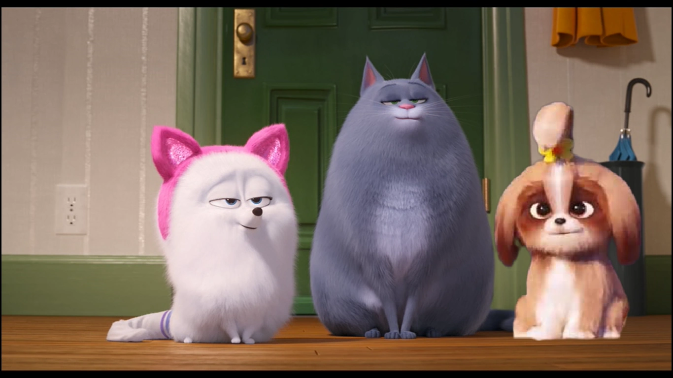 Do you think Daisy could be friends with Gidget and Chloe? | Fandom