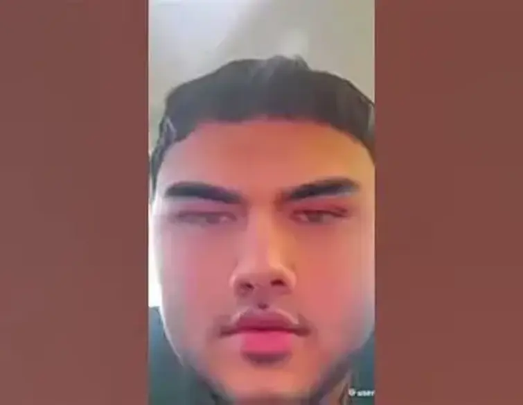 Dang, this wiki is crazy | Fandom