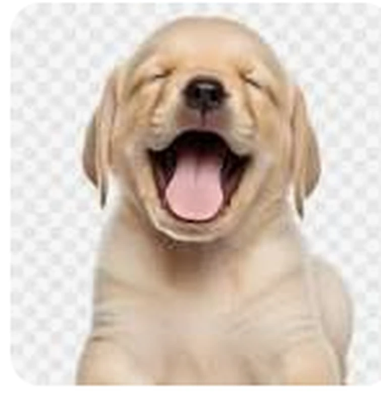 Discuss Everything About Cube Combination Wiki | Fandom