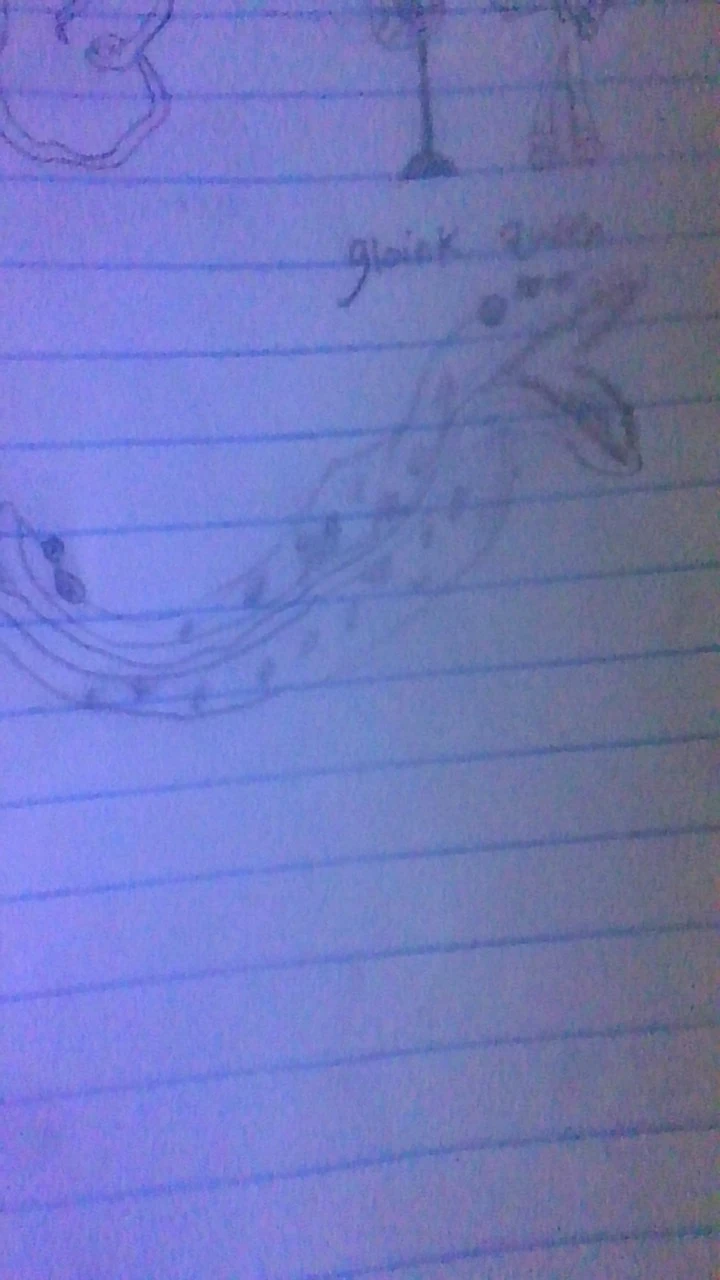 Doodles i did | Fandom