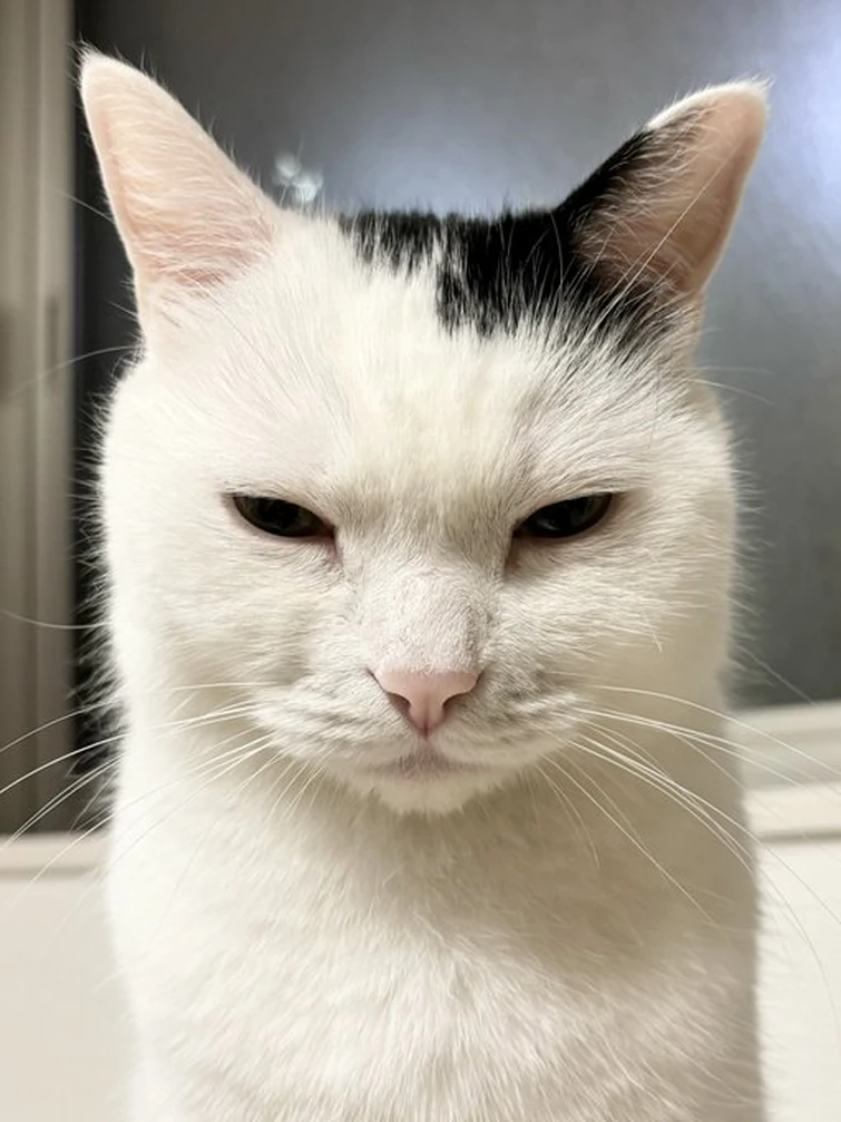 images of jermbo | Fandom