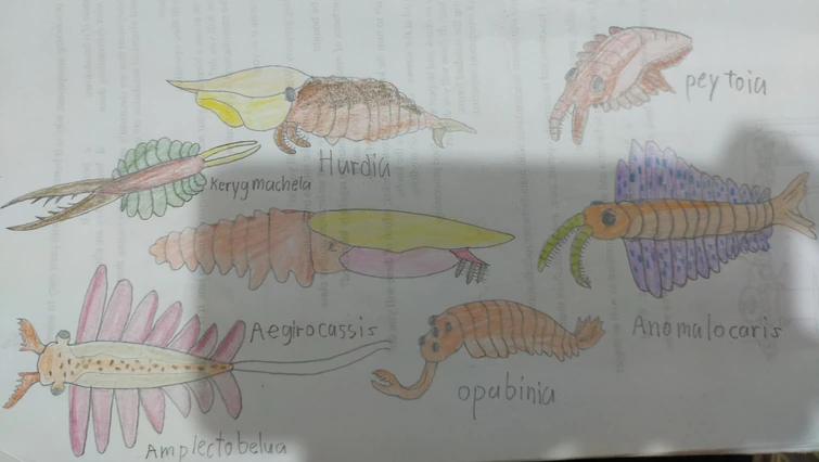 Discuss Everything About Dinopedia | Fandom