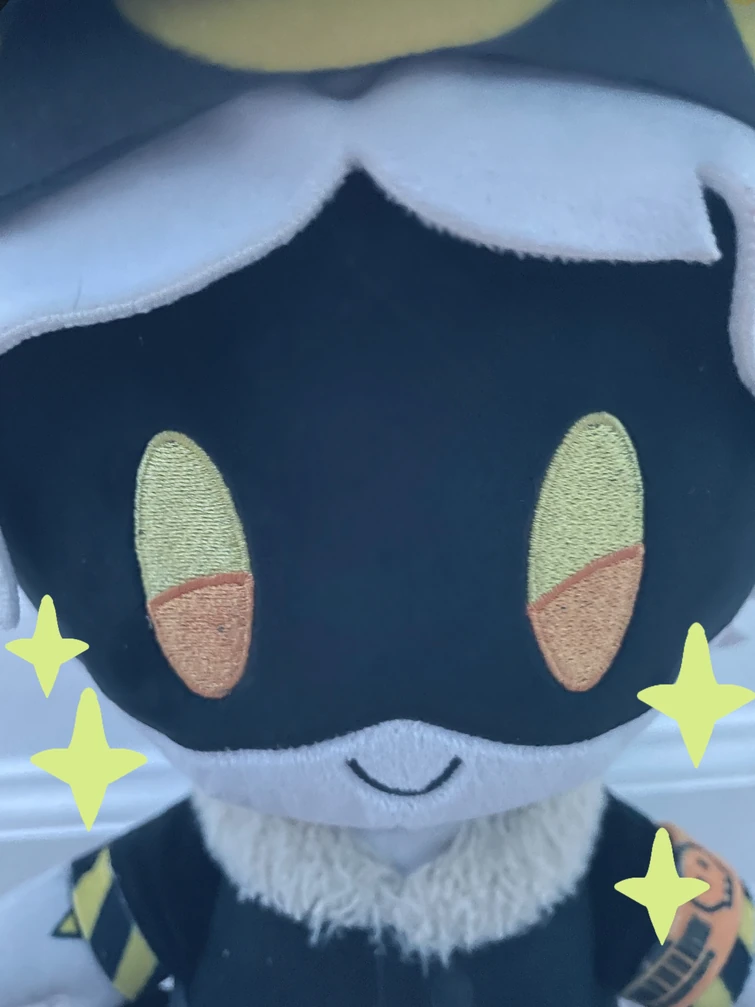 Why do people hate the new N plushie design? | Fandom