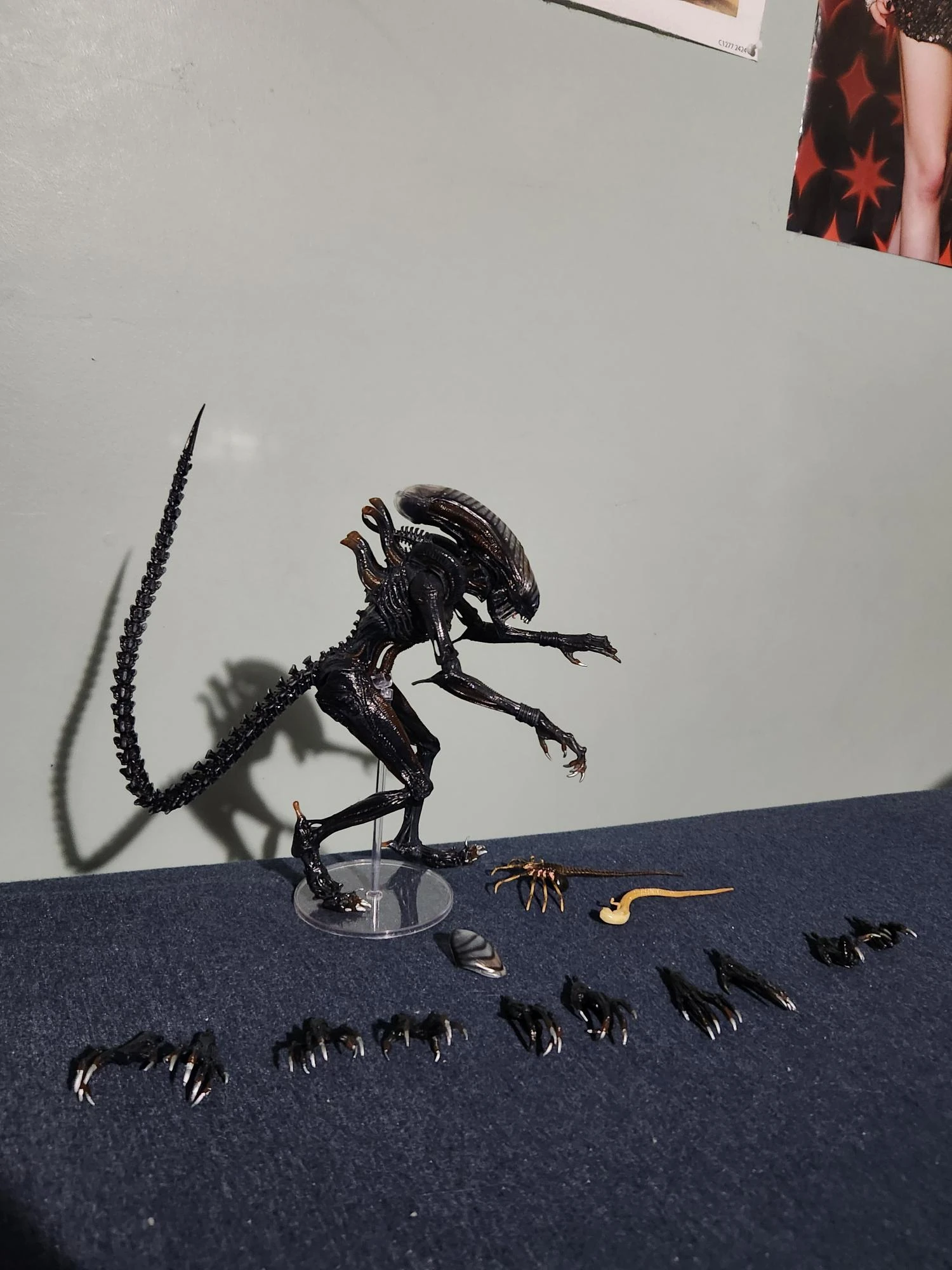 Got the Scorched Xenomorph figure from Alien: Romulus | Fandom