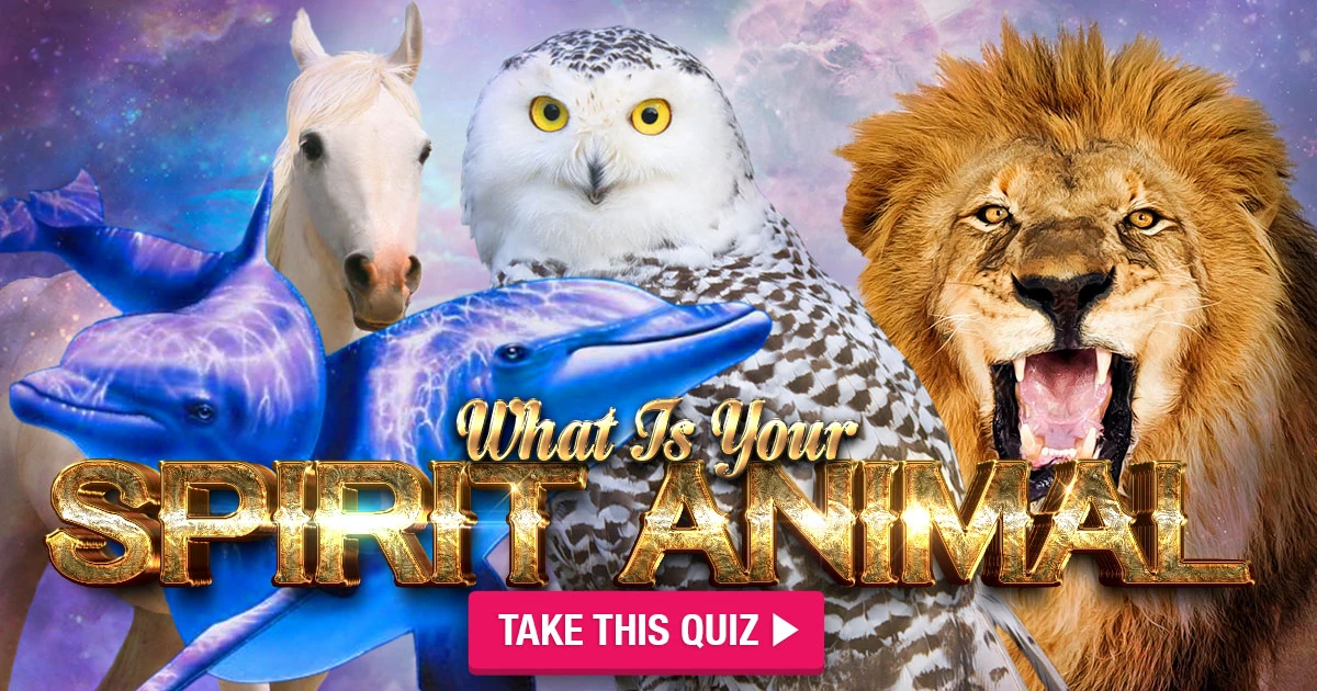 Spirit Animal Quiz | Fandom