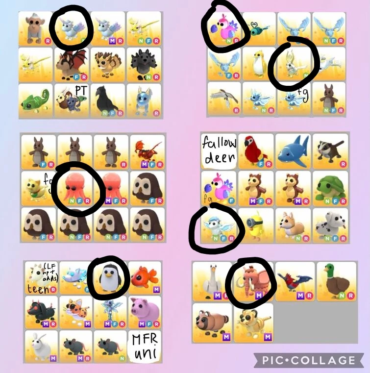 Lf Neon Golden Penguin and Adds | Fandom