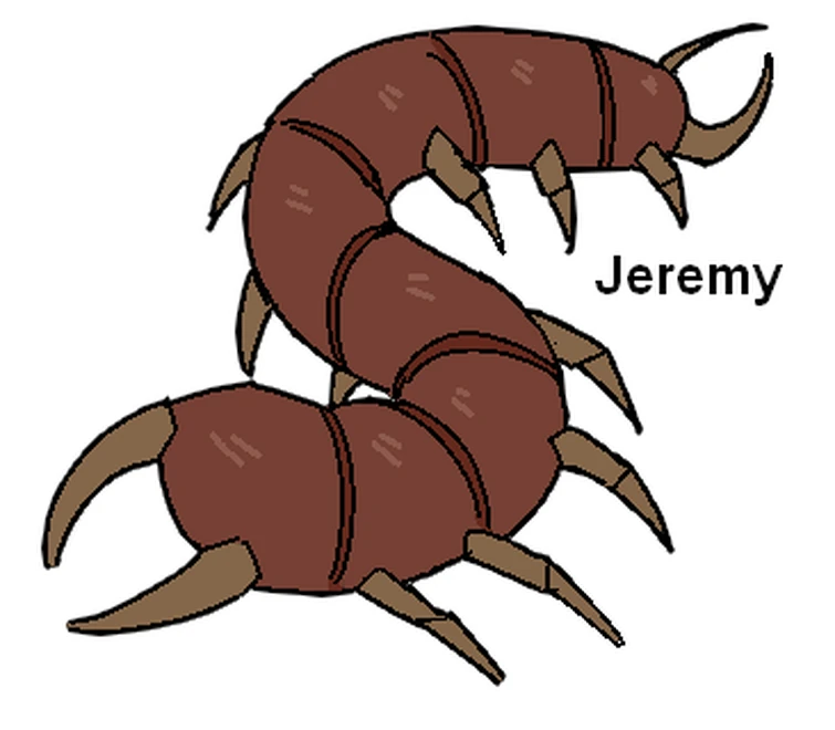 New entity idea | Fandom