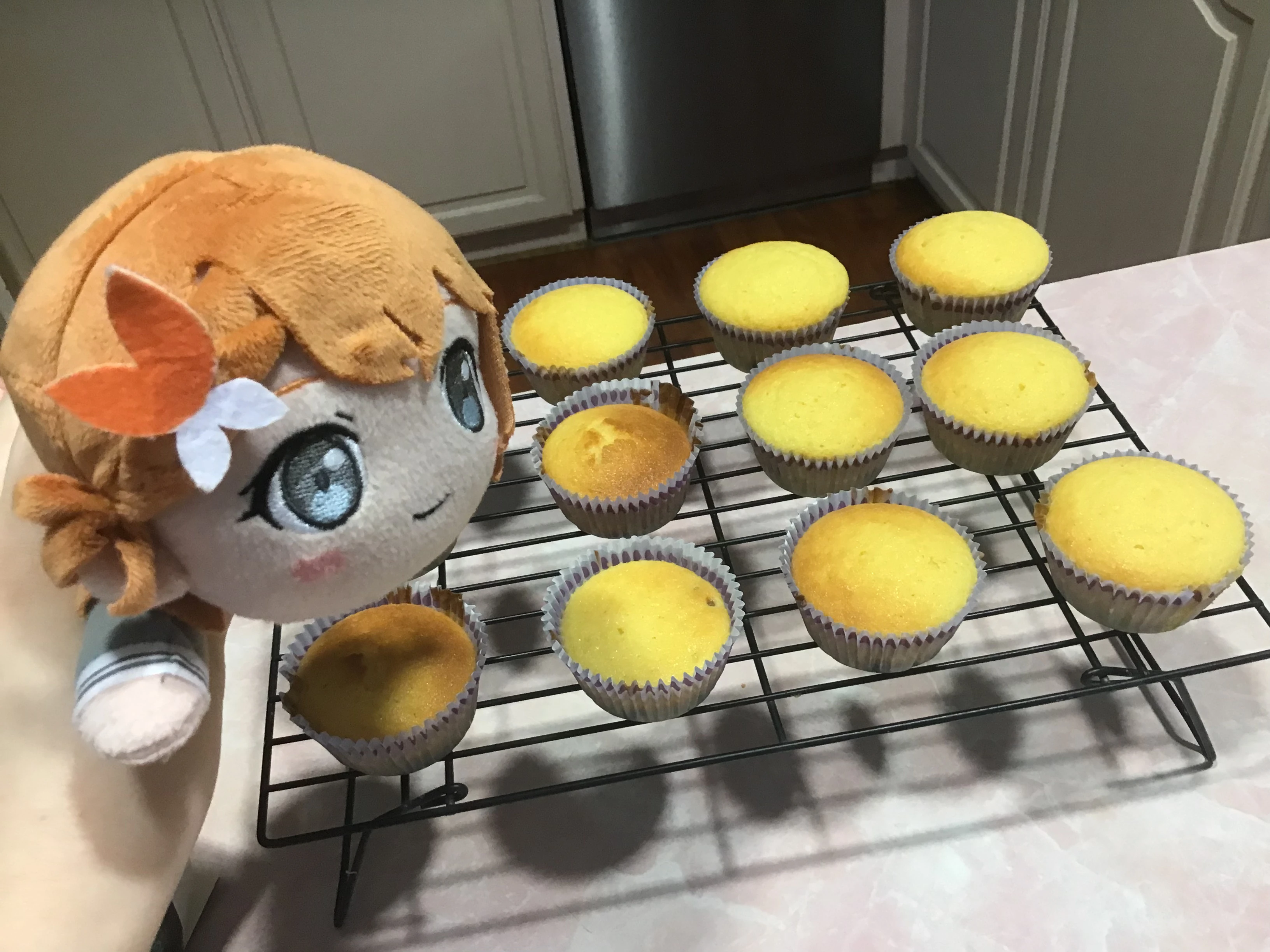 The cupcakes are out of the oven! | Fandom