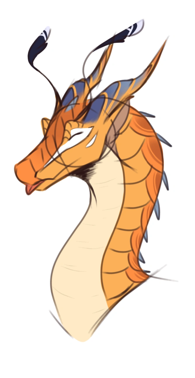 A silkwing sketch. | Fandom