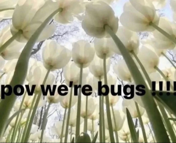 sleepy tired yawn | Fandom