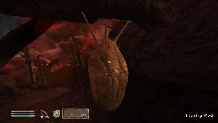 Discuss Everything About Elder Scrolls | Fandom