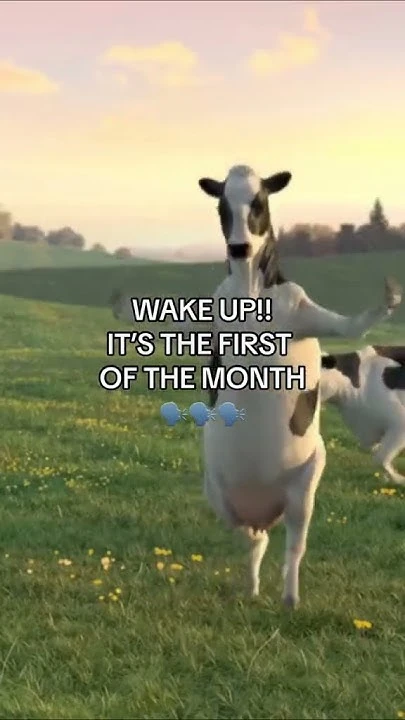 Wake up🗣️🗣️ | Fandom