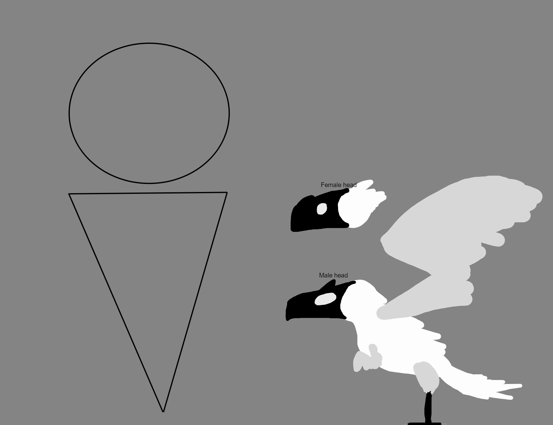 Pero redesign I made. | Fandom