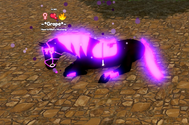 Looking for a fjord iuh! | Fandom