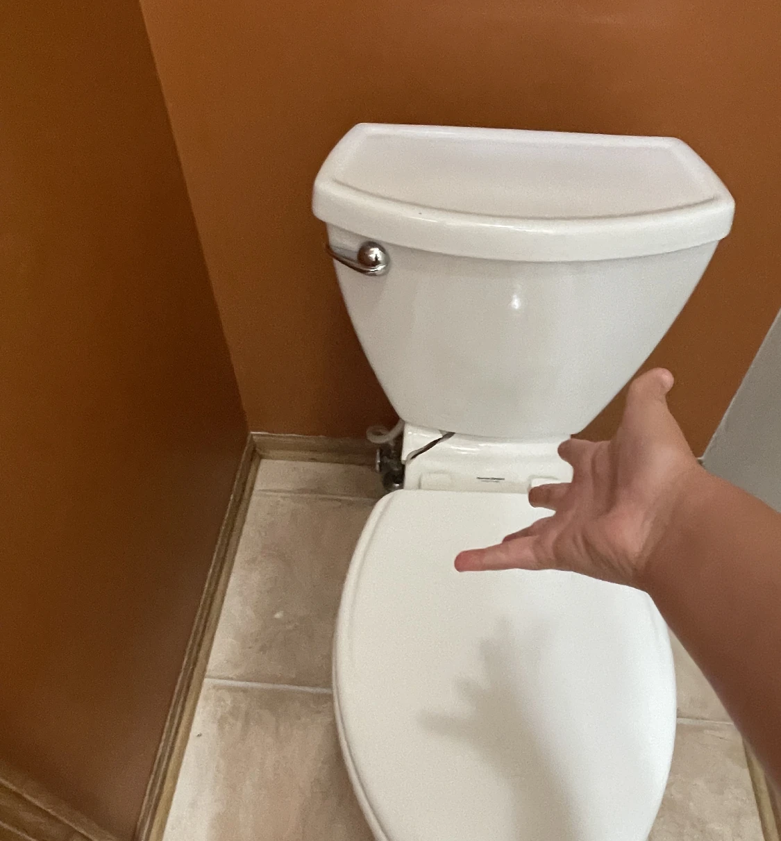 No toilet :( | Fandom