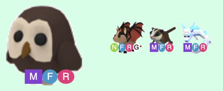 should i do any of these for my mega owl? | Fandom