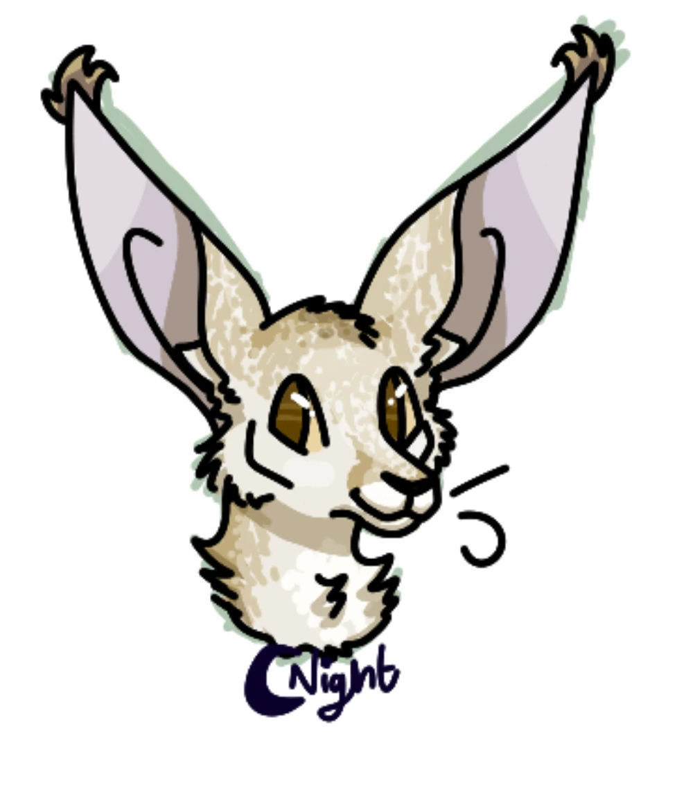 fennec fox | Fandom